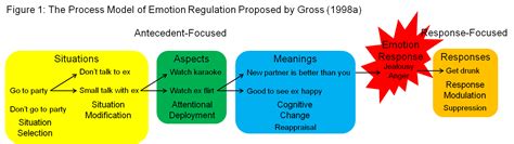 Dont Go Wasting Your Emotion The Process Model Of Emotion Regulation Emotion Brain