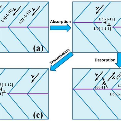 Schematic Illustration For Interaction Between Dislocation And Ctb A