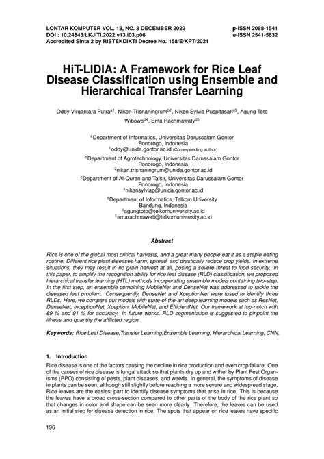 pdf hit lidia a framework for rice leaf disease classification using