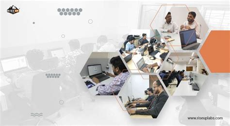 regression testing services company riseup labs