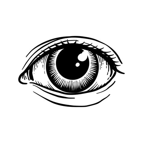 Black And White Illustration Of One Eye 45906432 Vector Art At Vecteezy
