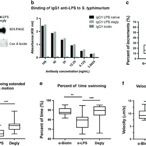 Simulated First Passage Time Fpt Analysis Of Salmonella Penetration