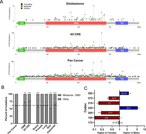 Sex And Mutation Specific P53 Gain Of Function Activity In Gliomagenesis Pmc