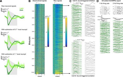 figures and data in context dependent signaling of coincident auditory
