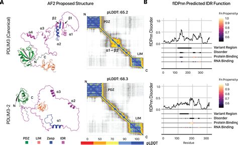 Tissue Usage Preference And Intrinsically Disordered Region Remodeling Of Alternative Splicing