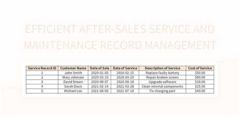 Streamlining After Sales Service And Record Maintenance For Optimal Efficiency Excel Template
