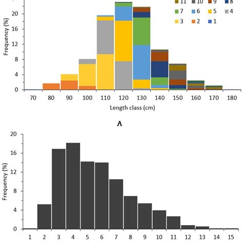Age Class Composition In Correspond To Length Class A And Age Class Composition In Correspond To Length Class A And