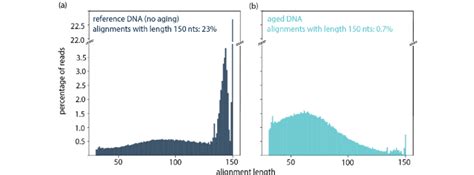 Fragment Length Distribution Analysis Fragmentation Of DNA File Download Scientific Diagram