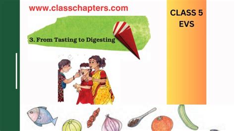 Class 5 Evs Lesson Plan In Word And Pdf Format Class Chapters