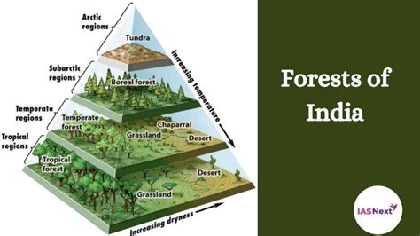 Forests Of India