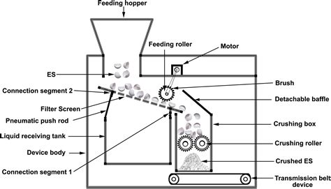 Egg Shell Membrane Separation At Ozell Lavigne Blog