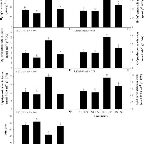 Impact Of Foliar Application Of Se At Flower Initiation Stage On