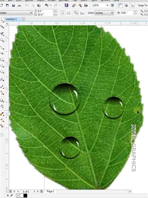 how to make water drops on leaves in corel draw making water drops on leaves in corel draw