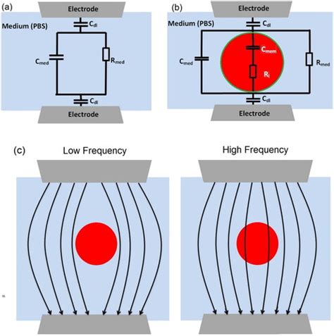 Full Article An Impedance Flow Cytometry With Integrated Dual Microneedle For Electrical