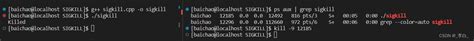 linux信号：sigint、sigkill、sigstop、sigcont csdn博客
