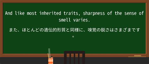 【英単語】inherit A Traitを徹底解説！意味、使い方、例文、読み方