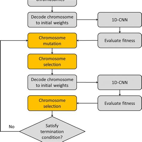 flow chart of sde in optimizing the initial weights of the 1d cnn download scientific diagram
