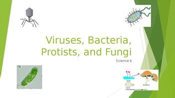 Viruses Bacteria Protists And Fungi PPT Notes By Sensational Science Stars