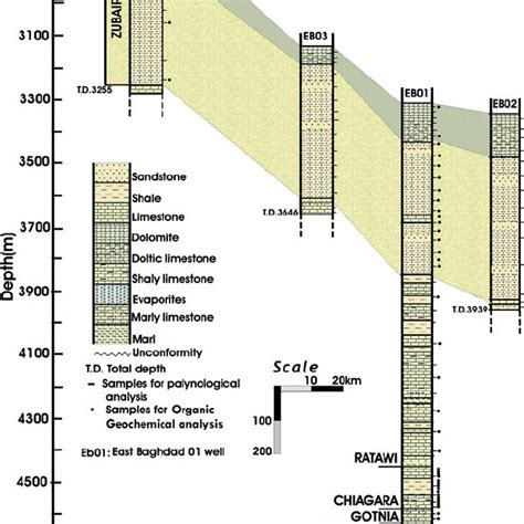 Lithostratigraphic Correlation Diagram Of The Proposed Source Rocks For Download Scientific
