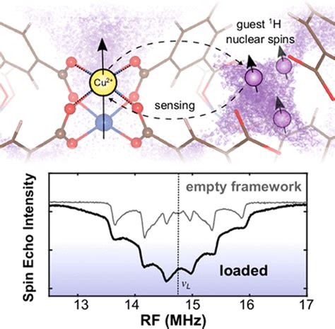 Atomic Scale Quantum Sensing Of Ensembles Of Guest Molecules In A Metalorganic Framework With