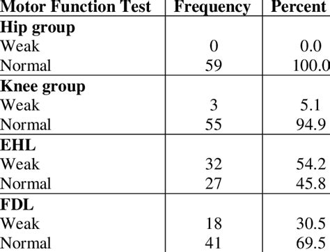 Distribution Of Patients By Motor Function Test N 59 Download