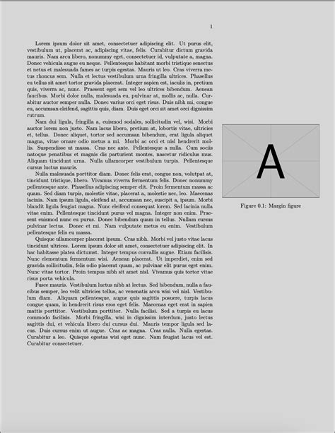 formatting how can i put this margins on my document tex latex