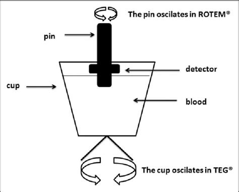 Rotational Thromboelastometry Rotemthromboelastography Teg Assay