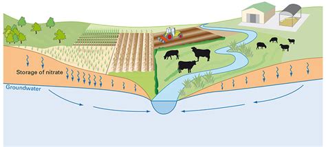 Global Patterns Of Nitrate Storage In The Unsaturated Zone Nitrate Diffuse Pollution