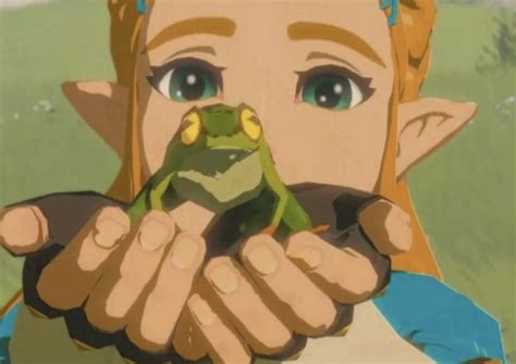Zelda Icon 🌿 Image Zelda Fond Decran Dessin Photo Profil