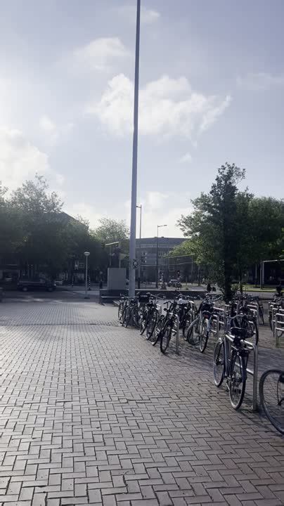 [video] Dimitri Fleitman Mba Cclp Scmp Cscl On Linkedin Plma Amsterdam Innovation