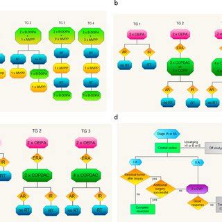 Schemas Of Four Consecutive Protocols Analyzed In The Study A Download Scientific Diagram