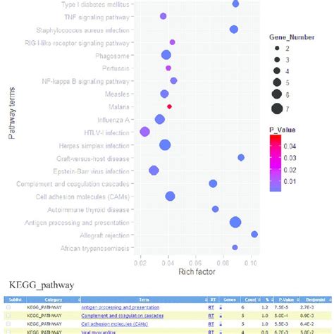 Differentially Expressed Genes Associated Pathways Analysis