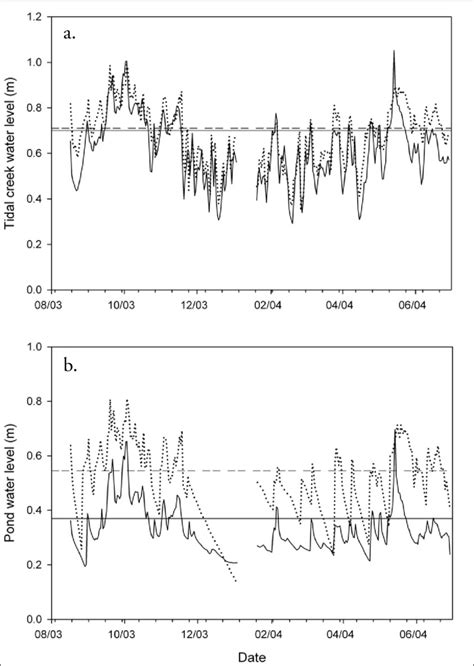 Observed And Simulated Temporal Dynamics Of Mean Daily Water Levels In