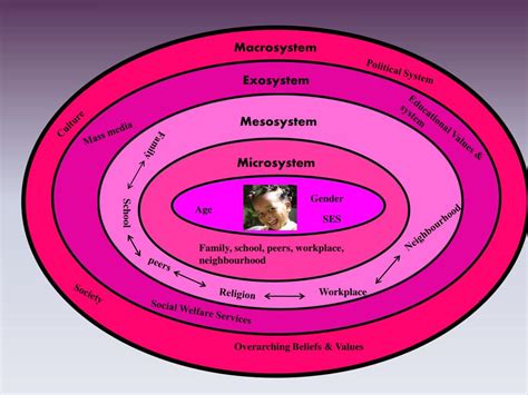 Ppt Ecological Theory Powerpoint Presentation Free Download Id 2467182