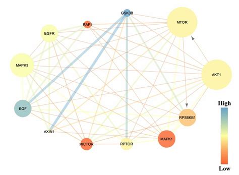 visualization of topological analysis based on number of edges and