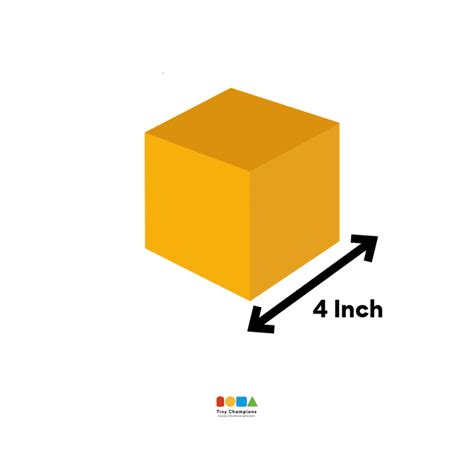 How To Find The Volume Of A Cube For Homeschool Student Tiny Champions