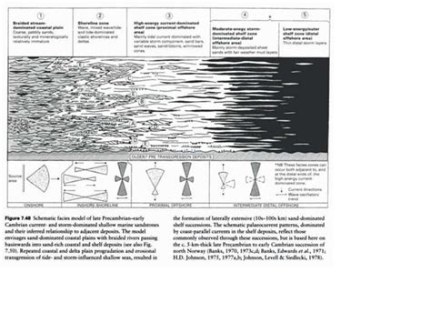Depositionalenvironmentslesson07 Pptx