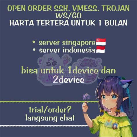jual akun ssh vmess vless trojan go dan grpc premium biznet rackh he