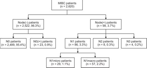 Flowchart Of Lymph Node Metastasis In Microinvasive Breast Cancer Download Scientific Diagram