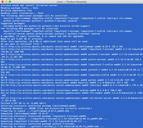 Non Authenticated NFS Server Configuration On Linux