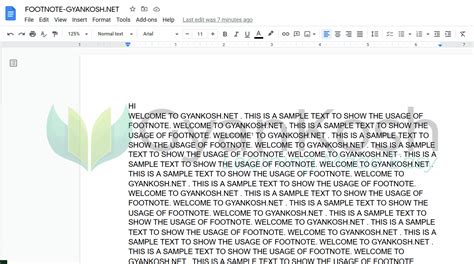 How To Add FOOTNOTES In GOOGLE DOCS With Examples