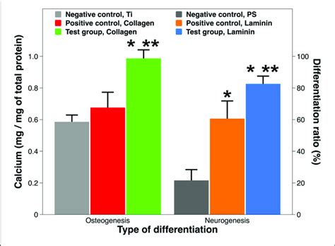 Osteogenic And Neurogenic Differentiation From Stem Cells Download Scientific Diagram
