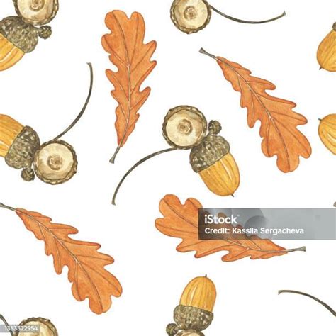 오크 잎과 흰색 배경에 도토리 원활한 패턴 수채화 손 그리기 그림 아쿠아렐 브라운 가을 잎과 너트 10월에 대한 스톡 벡터 아트 및 기타 이미지 Istock