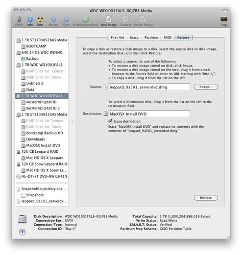 installation how to install snow leopard server over regular snow