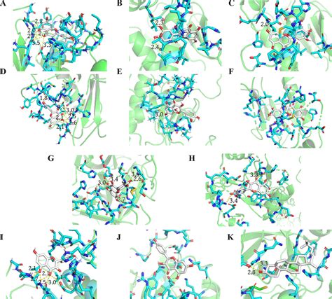 Molecular Docking Of Proteins Expressed By Core Target Genes With The