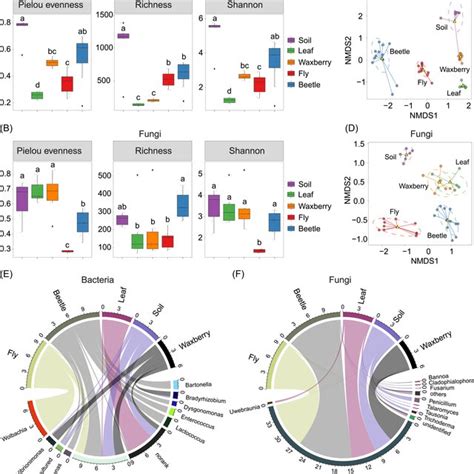 Diversity And Structure Of Microbial Communities In D Simulans D Download Scientific Diagram