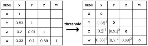soft thresholding to obtain a scale free topological network