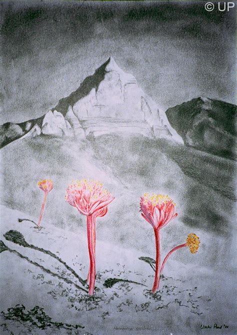 Passage Of Life Uschi Pond