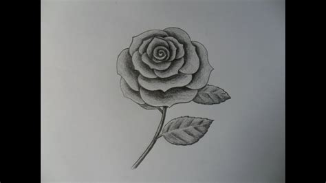 Imagenes De Rosas Para Dibujar A Lapiz En 3d Find Gallery