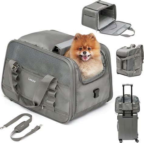 Pet Carrier Airline Dimensions At Roxanne Corley Blog